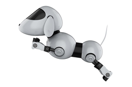 High Precise BLDC MOTOR for Pet Robot丨Seamless Operation